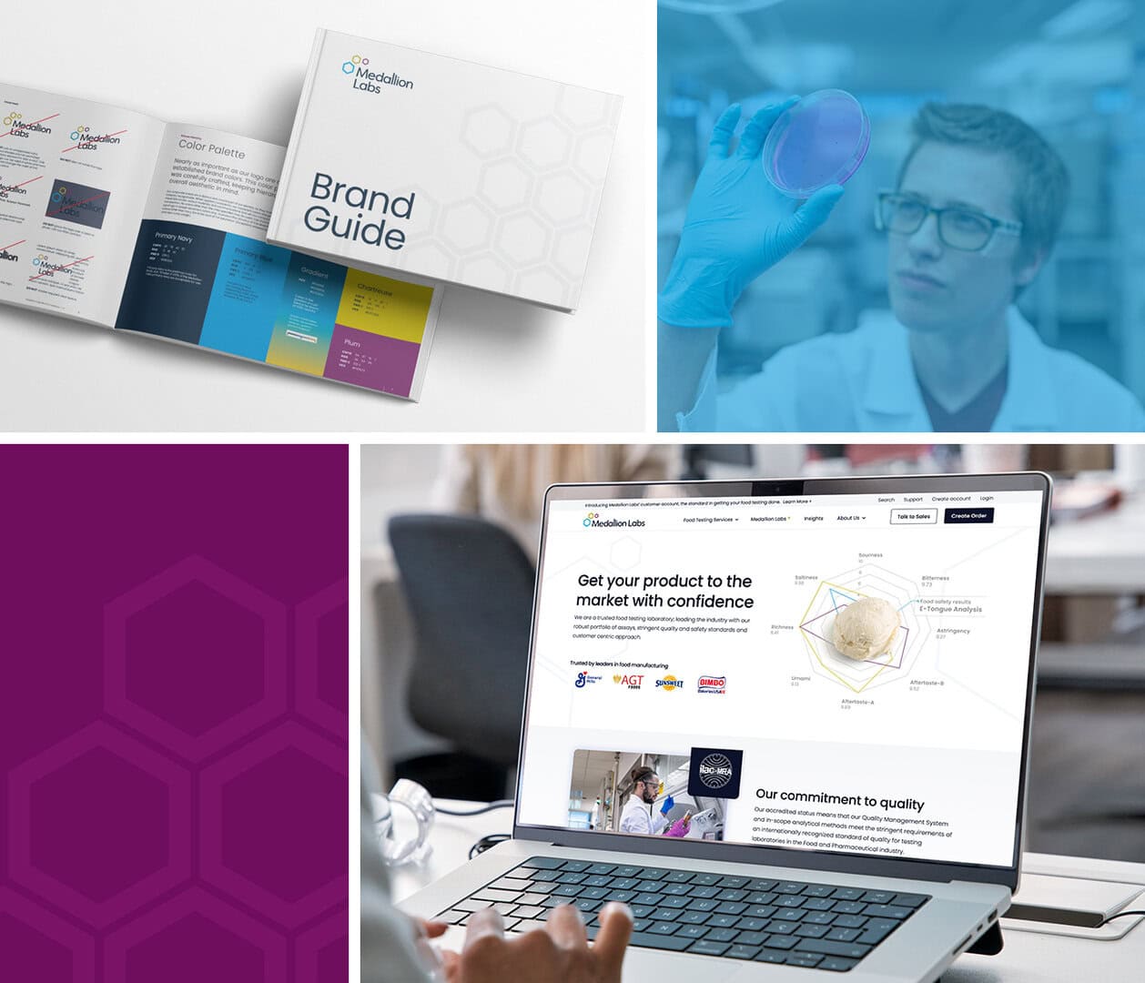 Developing a New Brand and Digital Marketing Formula for Medallion Labs ...